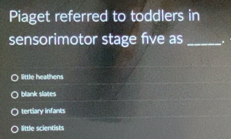 Solved: Piaget referred to toddlers in sensorimotor stage five as ...