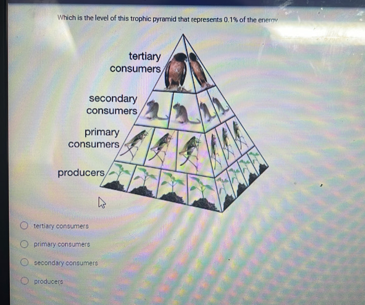 Solved: Which is the level of this trophic pyramid that represents 0.1% ...