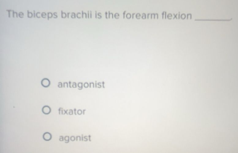 Solved: The biceps brachii is the forearm flexion_ antagonist fixator ...