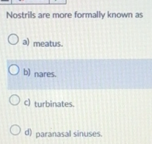 Solved: Nostrils are more formally known as a) meatus. b) nares. c ...