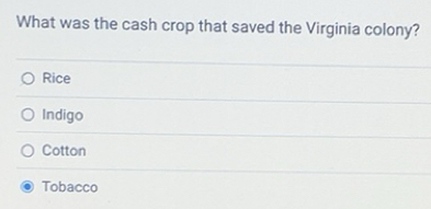 Solved: What was the cash crop that saved the Virginia colony? Rice ...