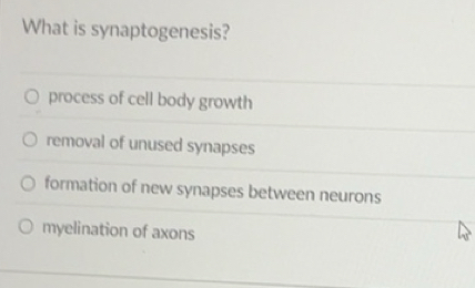 Solved: What is synaptogenesis? process of cell body growth removal of ...