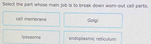 Solved: Select the part whose main job is to break down worn-out cell parts. cell membrane Golgi ...