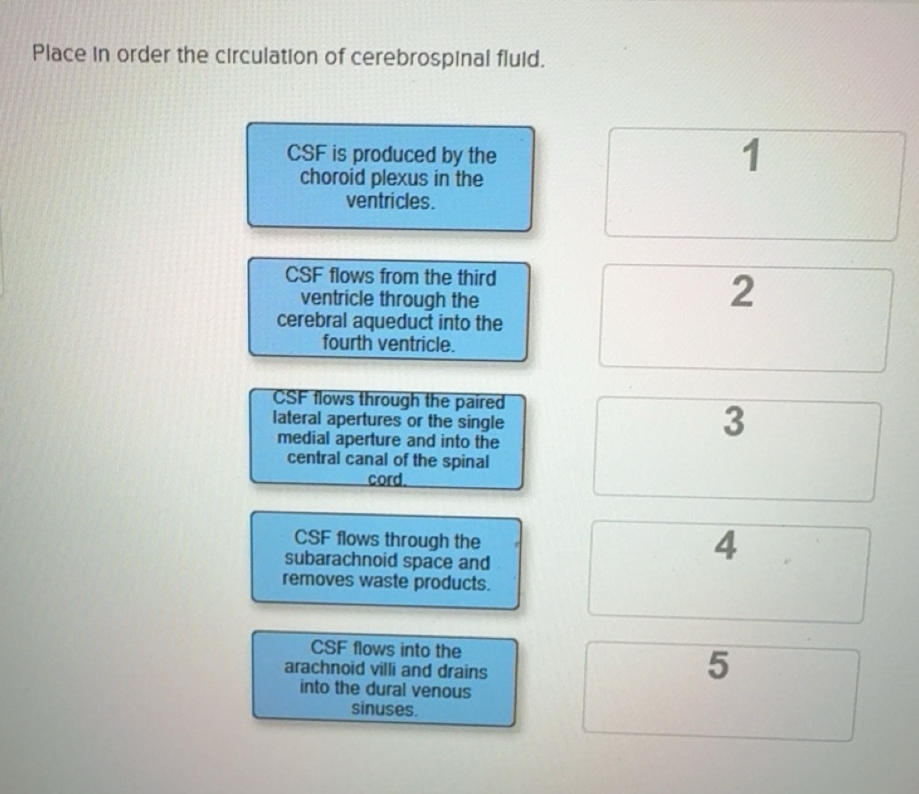Solved: Place in order the circulation of cerebrospinal fluid. CSF is produced by the choroid ...