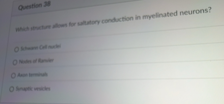 Solved: Which structure allows for saltatory conduction in myelinated ...