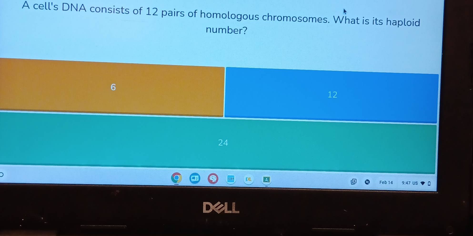 Solved: A cell's DNA consists of 12 pairs of homologous chromosomes ...