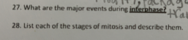 Solved: What are the major events during interphase? 28. List each of ...