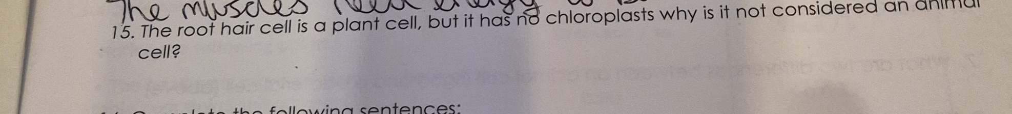 Solved: The root hair cell is a plant cell, but it has no chloroplasts ...