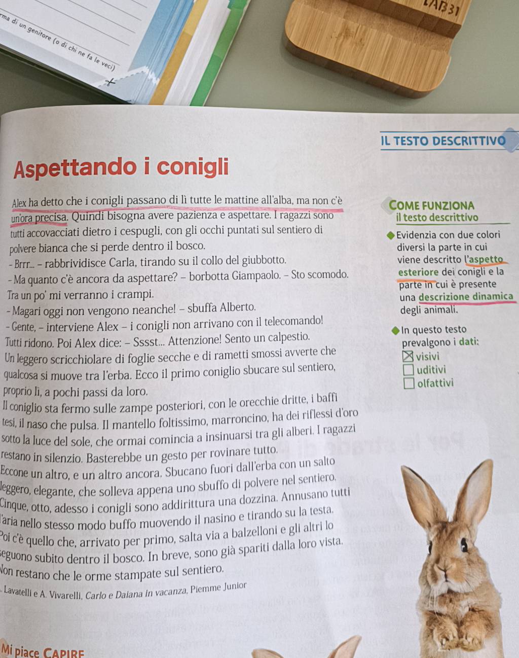 Risolto:1AB31 na di un genitore (o di chỉ ne fa le vec IL TESTO ...