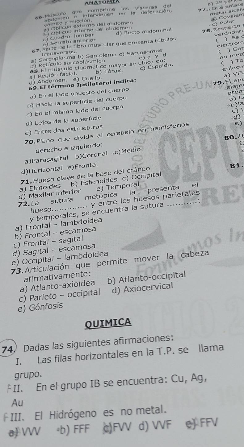 Resuelto:ANATOMIA metal alcali 66. Músculo que comprime las vísceras ...