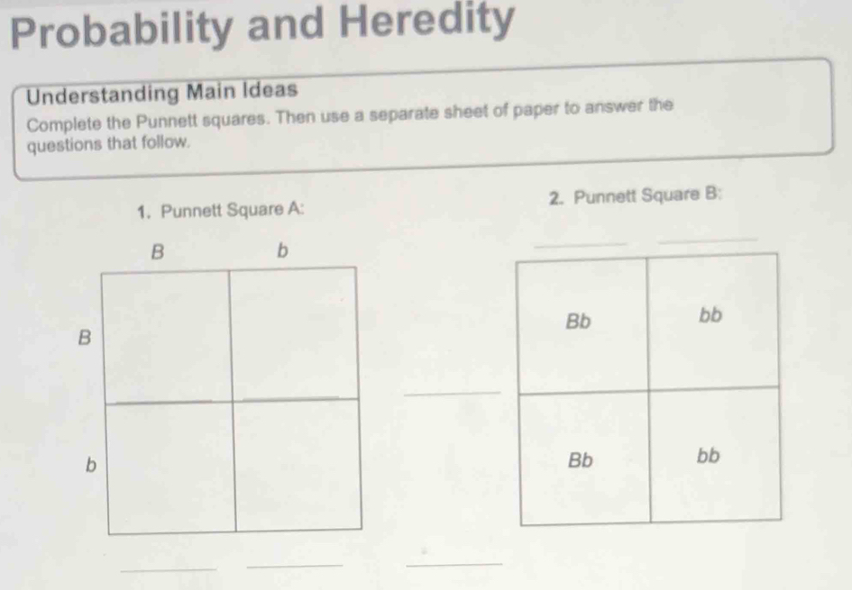 Solved: Probability and Heredity Understanding Main Ideas Complete the ...
