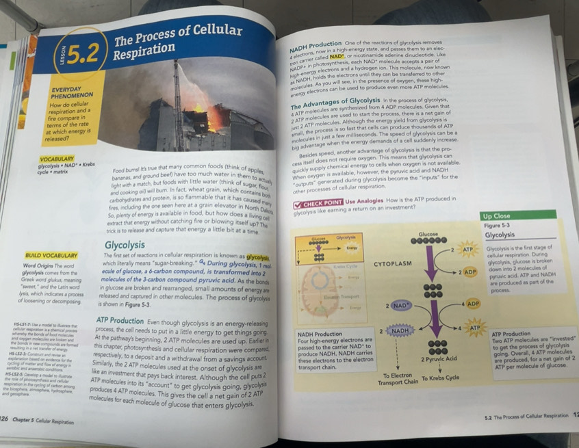 Solved: ation The Process of Cellular NADH Production One of the ...