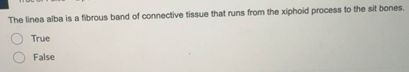 Solved: The linea alba is a fibrous band of connective tissue that runs ...
