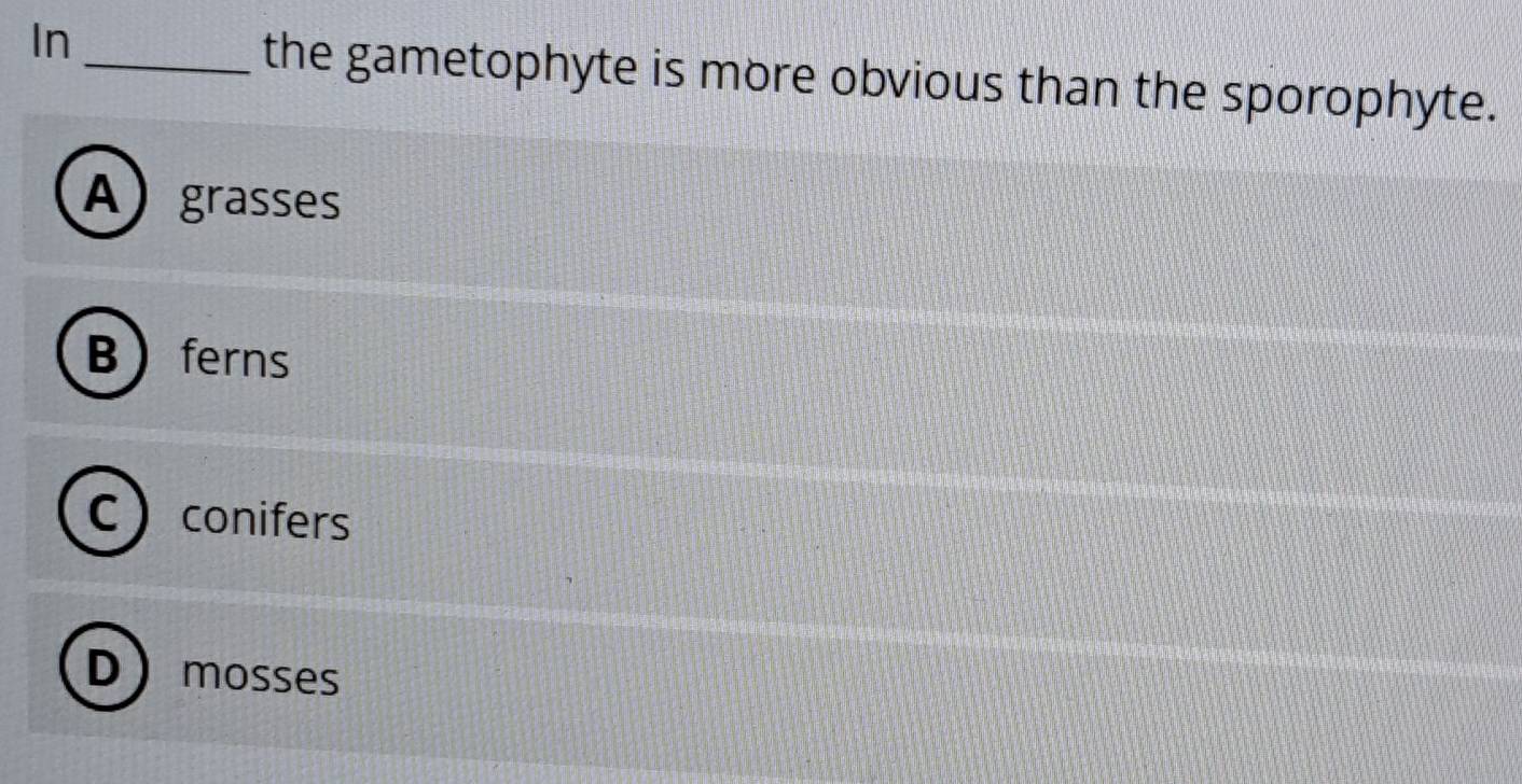 Solved: In _the gametophyte is more obvious than the sporophyte. A ...