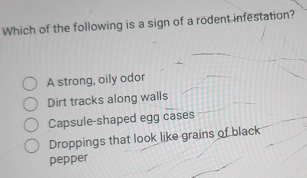 Solved: Which of the following is a sign of a rodent infestation? A ...