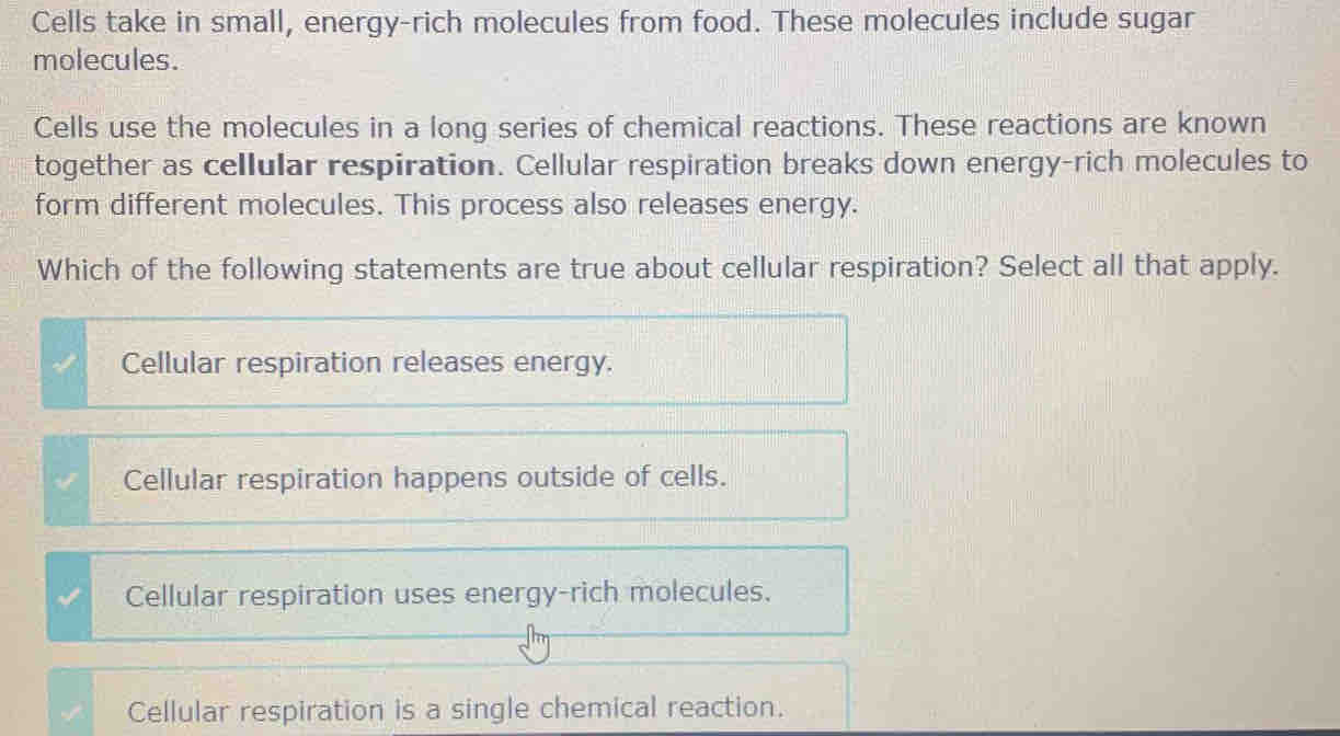 Cells take in small, energy-rich molecules from food. These molecules ...