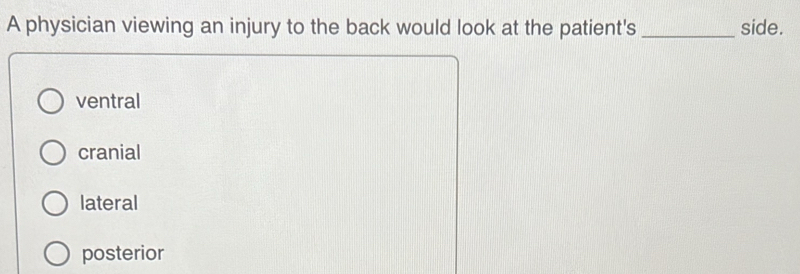 Solved: A physician viewing an injury to the back would look at the ...