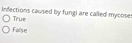 Solved: Infections caused by fungi are called mycoses True False [Biology]