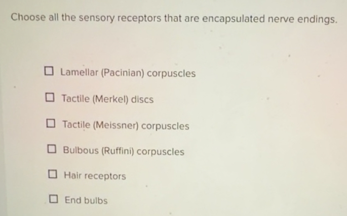 Solved: Choose all the sensory receptors that are encapsulated nerve ...