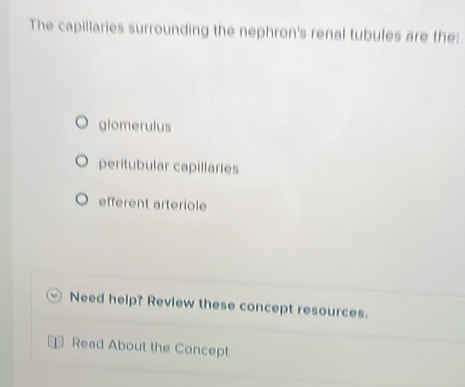 Solved: The capillaries surrounding the nephron's renal tubules are the ...