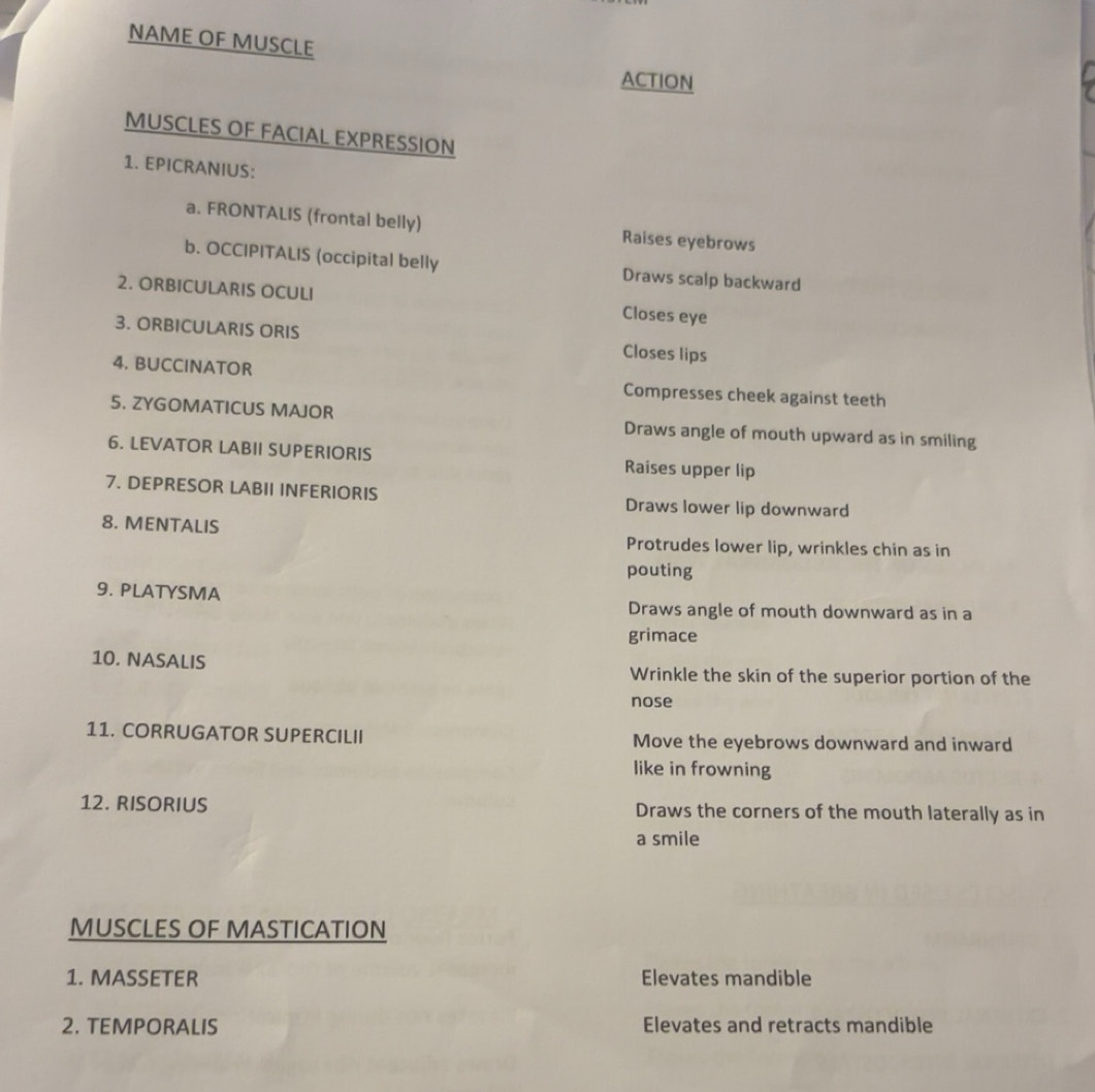 Solved: NAME OF MUSCLE ACTION MUSCLES OF FACIAL EXPRESSION 1 ...