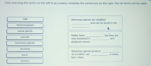 Solved: Click and drag the terms on the left to accurately complete the ...