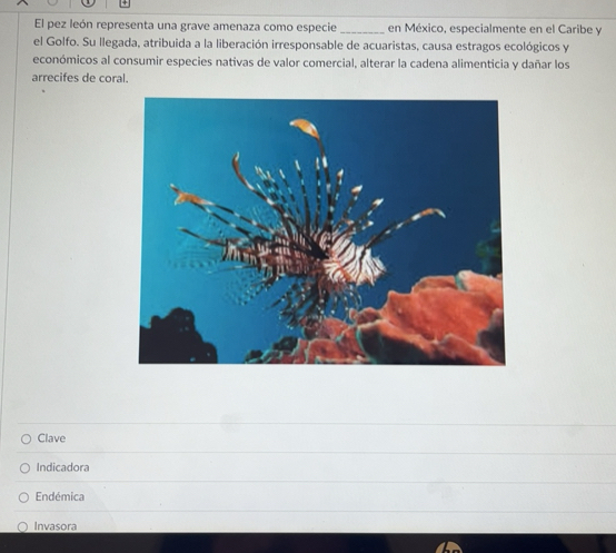 Resuelto:El pez león representa una grave amenaza como especie _en ...