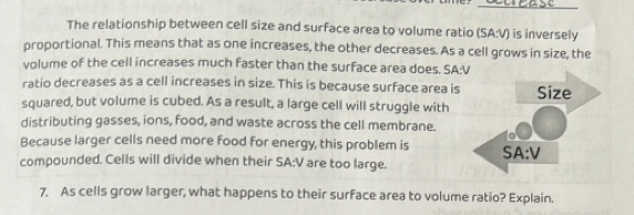 Solved: The relationship between cell size and surface area to volume ...