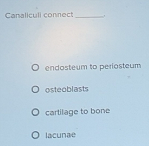 Solved: Canaliculi connect _. endosteum to periosteum osteoblasts ...