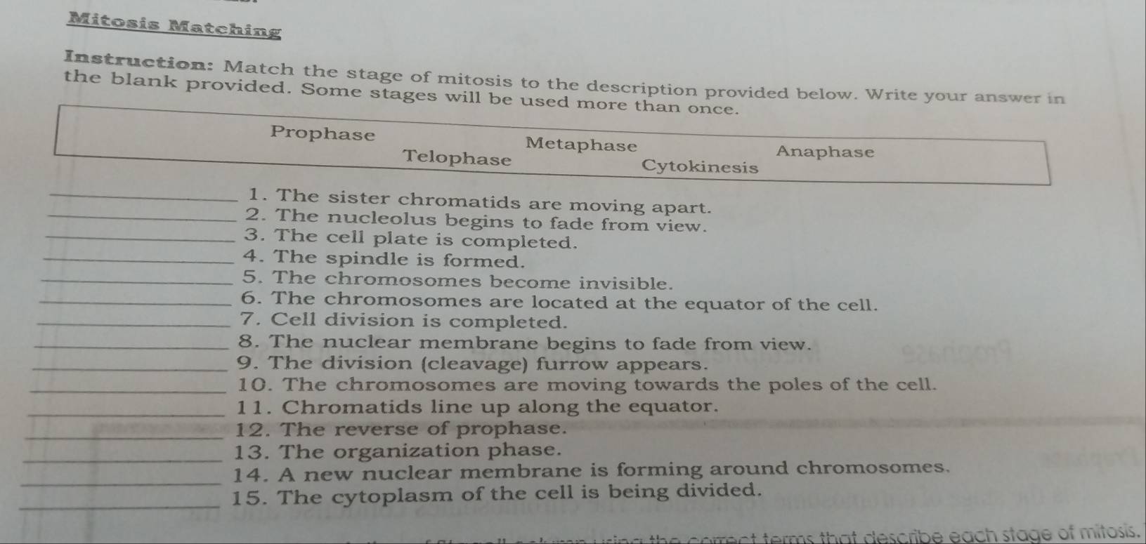 Solved: Mitosis Matching Instruction: Match the stage of mitosis to the ...