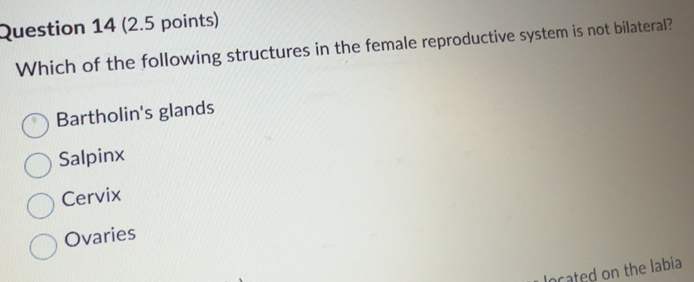 Solved: Which of the following structures in the female reproductive ...
