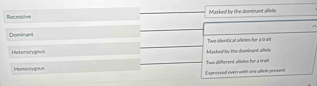 Solved: Recessive Masked by the dominant allele Dominant Two identical ...