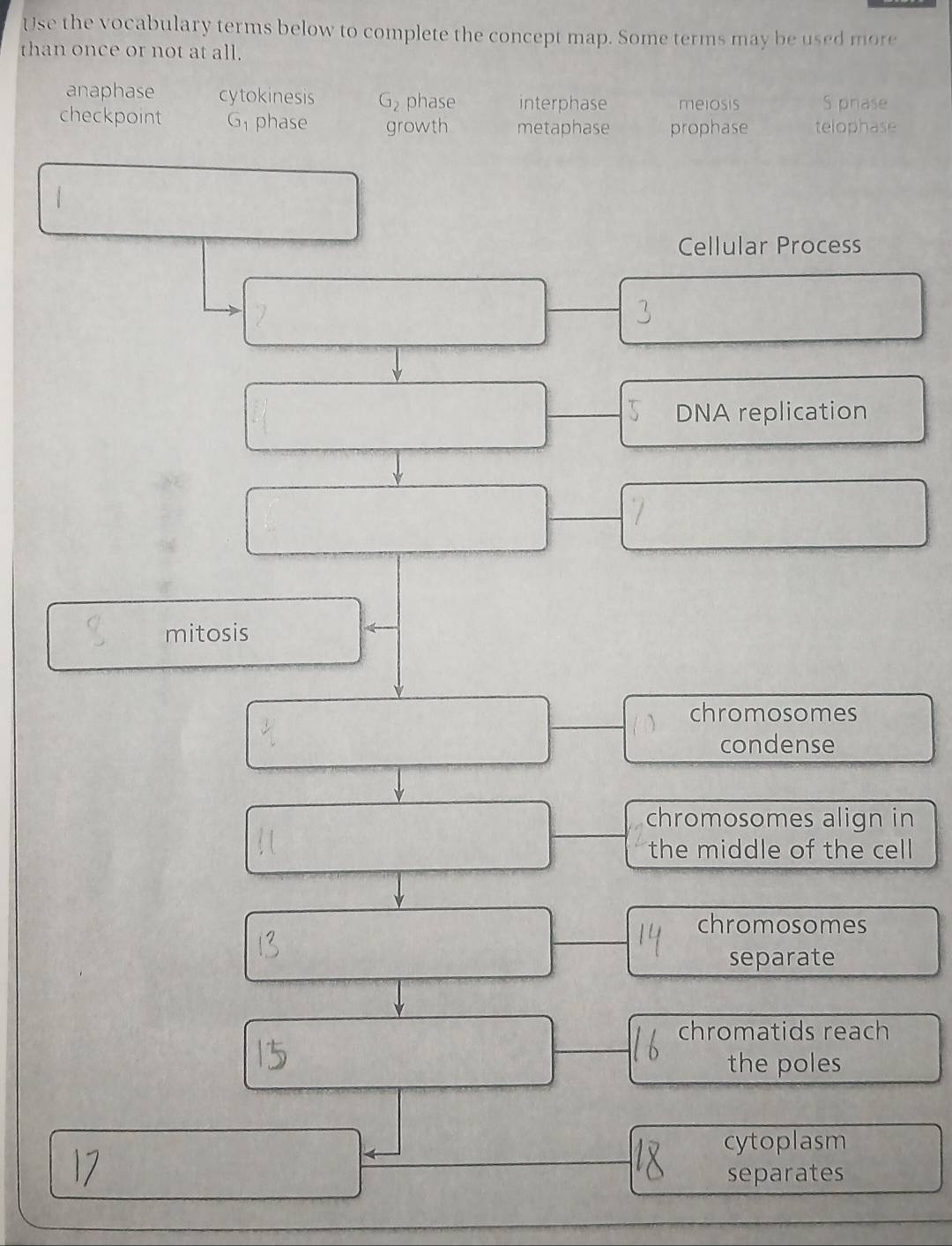 Solved: Use the vocabulary terms below to complete the concept map ...