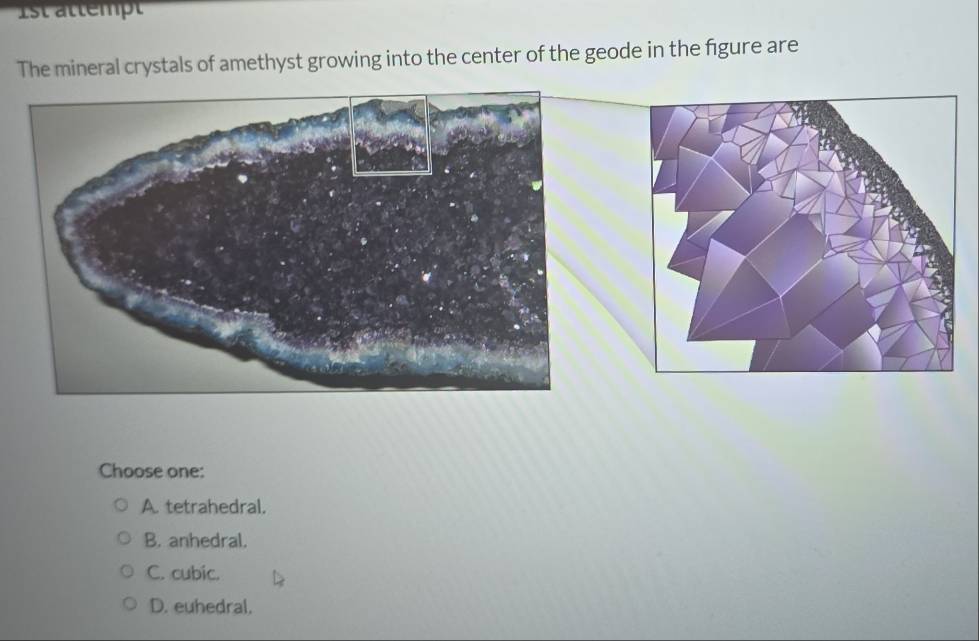 Solved: 1st attem The mineral crystals of amethyst growing into the ...