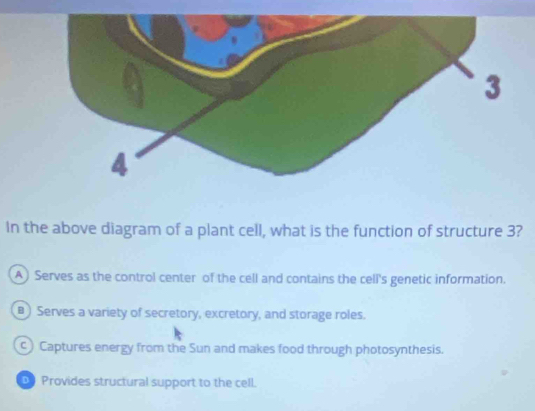 Solved: In the above diagram of a plant cell, what is the function of ...