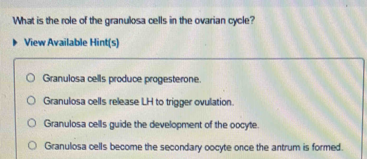 Solved: What is the role of the granulosa cells in the ovarian cycle ...