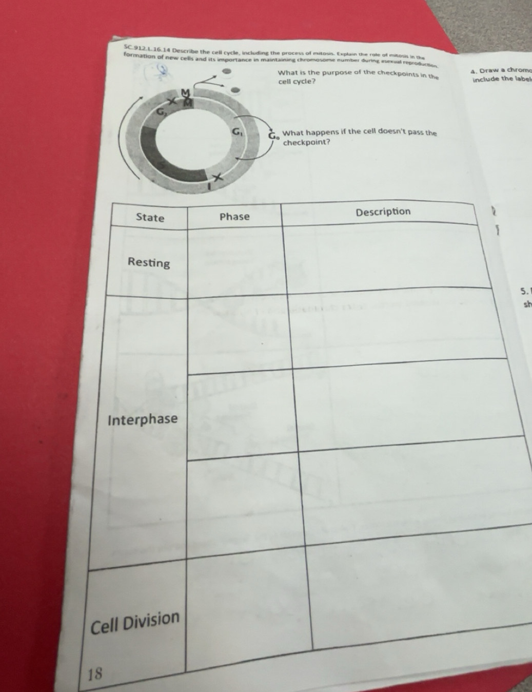 Solved: SC.912.L.16.14 Describe the cell cycle, including the process ...