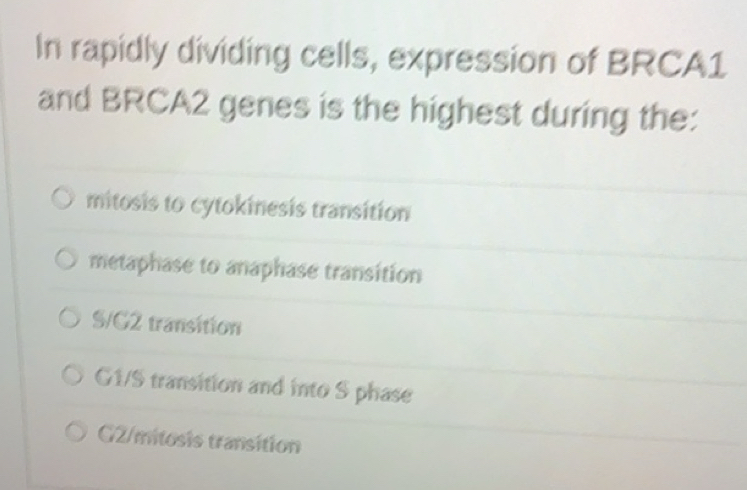 Solved: In rapidly dividing cells, expression of BRCA1 and BRCA2 genes ...