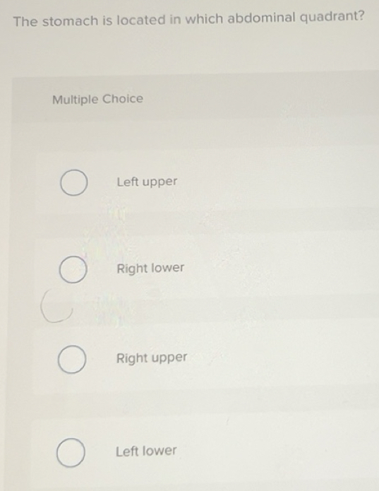 Solved: The stomach is located in which abdominal quadrant? Multiple ...