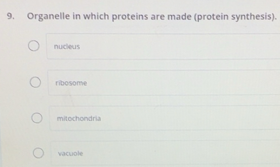 Solved: Organelle in which proteins are made (protein synthesis ...