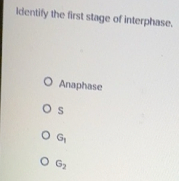 Solved: ldentify the first stage of interphase. Anaphase s G_1 G_2 ...