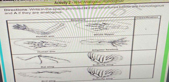 Solved: Activity 2 - AHA! Analogous! Homologous! Directions: Write in ...