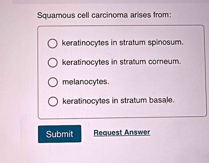 Solved: Squamous cell carcinoma arises from: keratinocytes in stratum ...