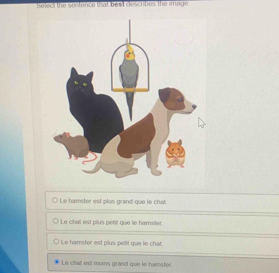 Solved: Select the sentence that best describes the image. Le hamster ...