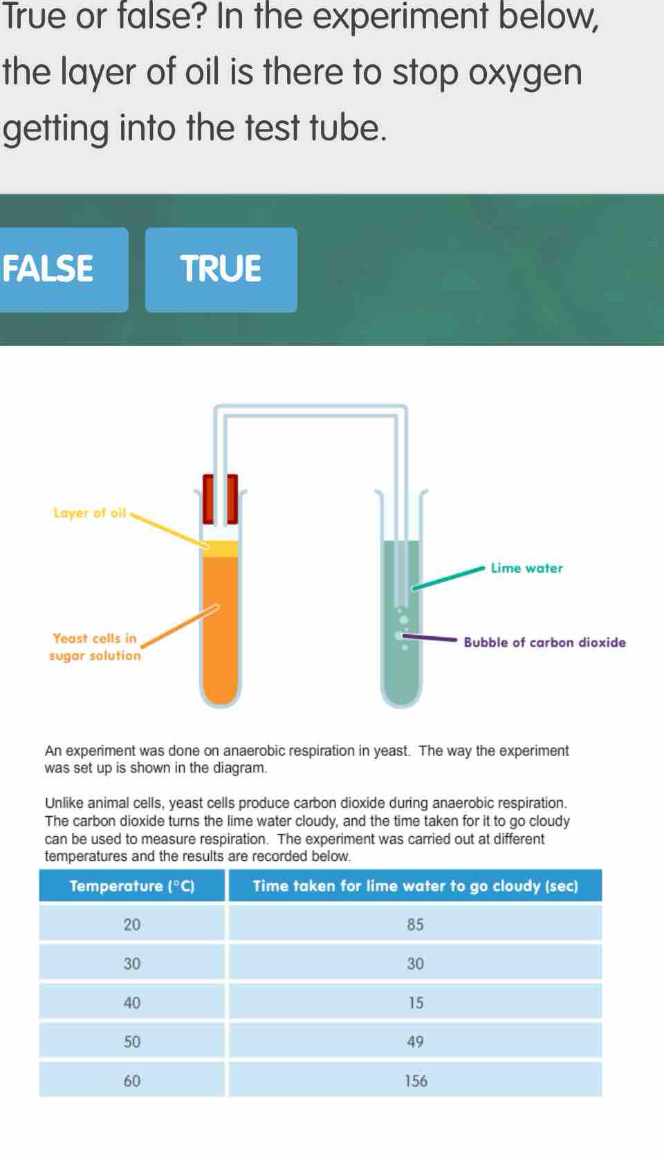 Solved: True or false? In the experiment below, the layer of oil is ...