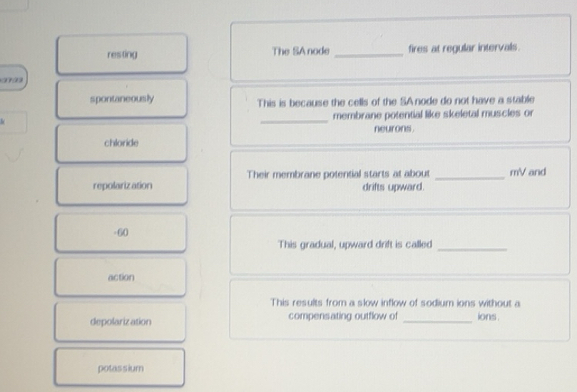 Solved: resting The SA node _fires at regular intervals. spontaneously ...