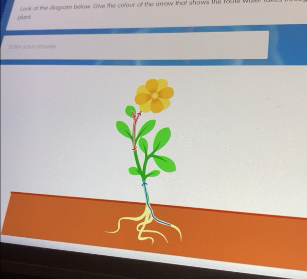 Solved: Look at the diagram below. Give the colour of the arrow that ...