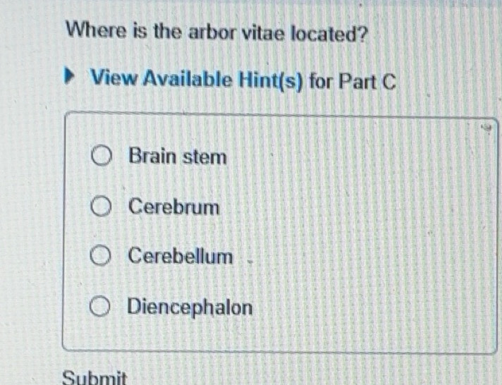 Solved: Where is the arbor vitae located? View Available Hint(s) for ...