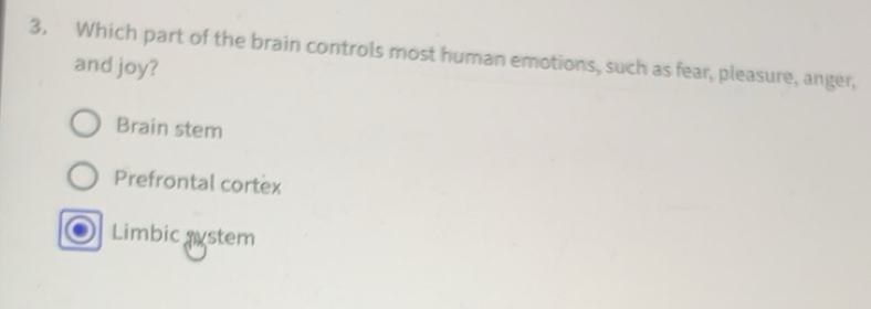 Solved: Which part of the brain controls most human emotions, such as ...
