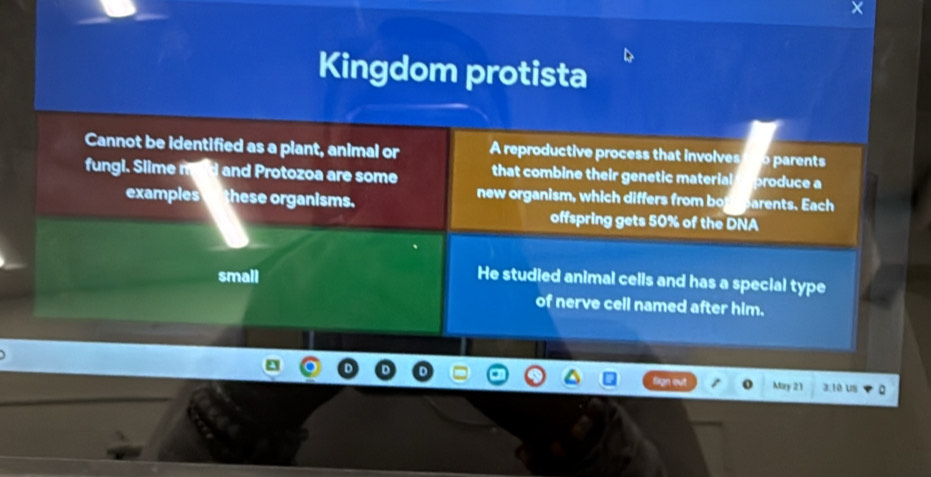 Solved: Kingdom protista Cannot be identified as a plant, animal or A ...